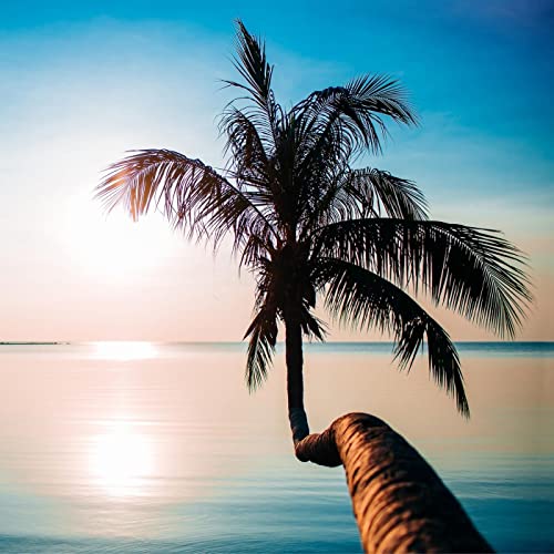 Play Bamboo Island by Riva G on Amazon Music