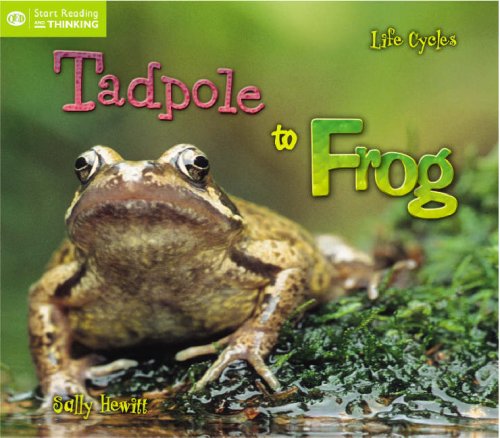 From Tadpole to Frog (QED Start Reading and Thinking S.) : Qed: Amazon ...