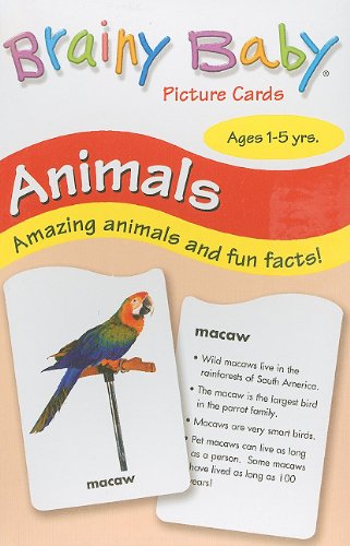 Brainy Baby Animals Picture Cards : Amazon.in: Books