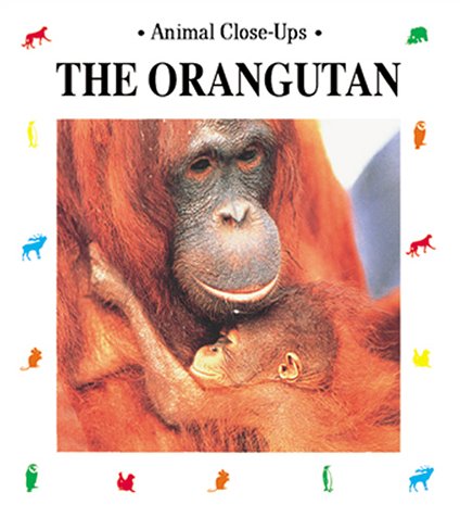 The Orangutan: Forest Acrobat (Animal Close-Ups): Sourd, Christine ...