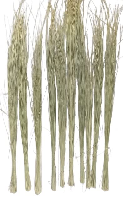VAHISSH Natural Organic THARBAI PUL, DARBA Grass, DHARBA KUSA (10 ...
