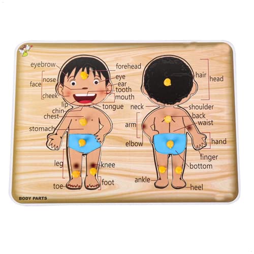 Wooden Body Parts Educational Puzzle for Kids | Body Parts Board ...
