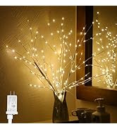 Amazon.com: Lighted Birch Branches Pack of 3, 34IN 180 LED White ...