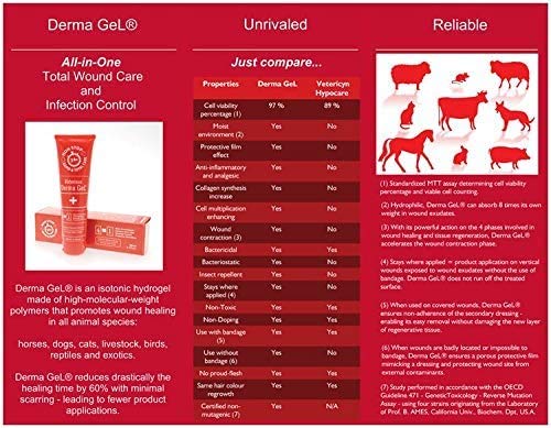 Veterinus Derma Gel 100ml Ointment : Amazon.co.uk: Pet Supplies