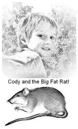Amazon.com: Cody and the Big Fat Rat! (97 Flash Cards at the end of ...