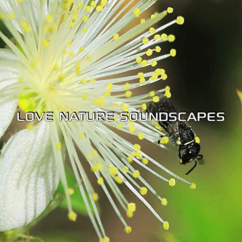 Play Love Nature Soundscapes by Love Nature Soundscapes, The Nature Soundscapes & Discovery ...