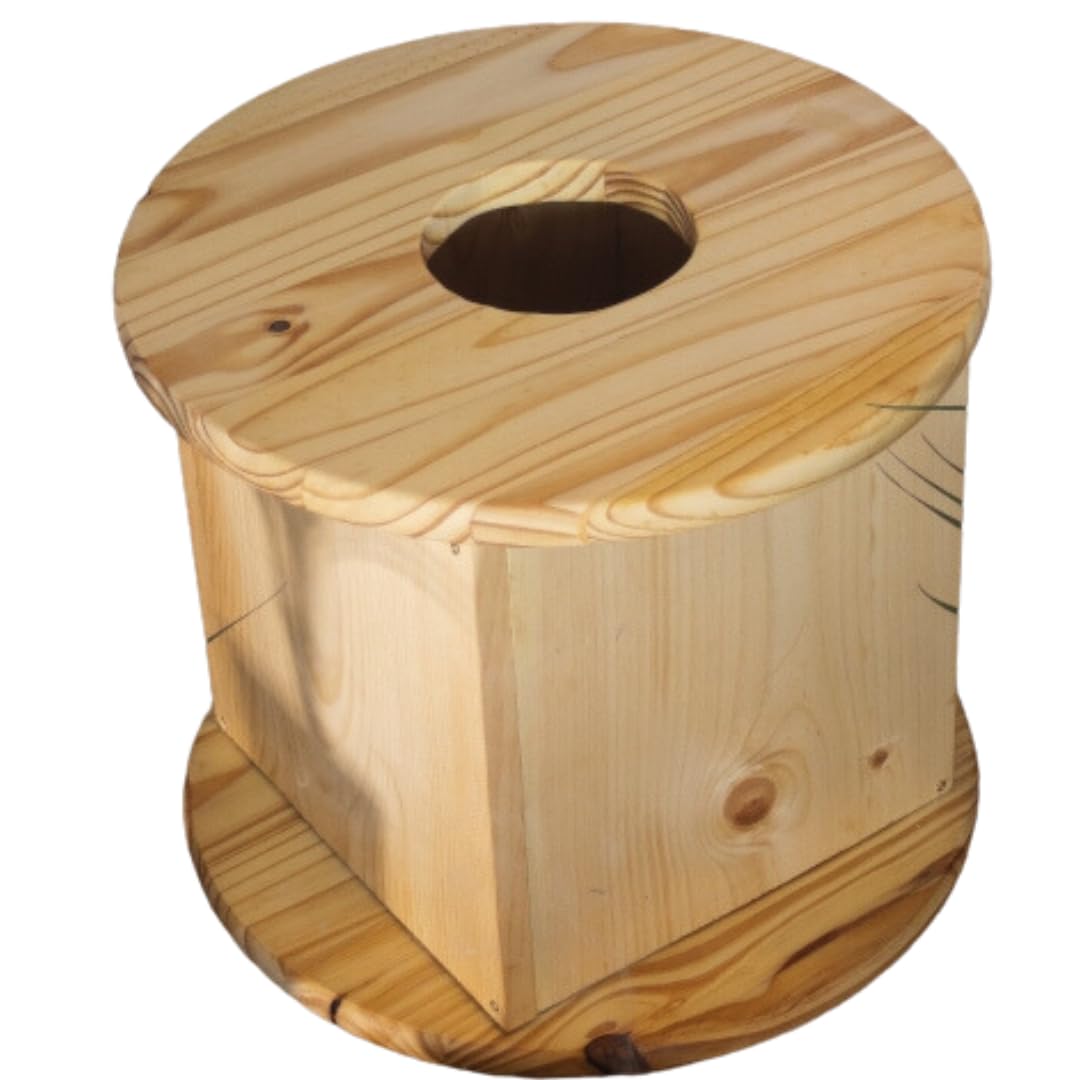 Amazon.com: Queendom Qare Throne For Vaginal Steaming, V Steam Seat ...