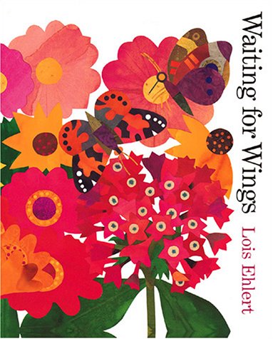 Waiting for Wings: Lois Ehlert: 8601416061825: Amazon.com: Books