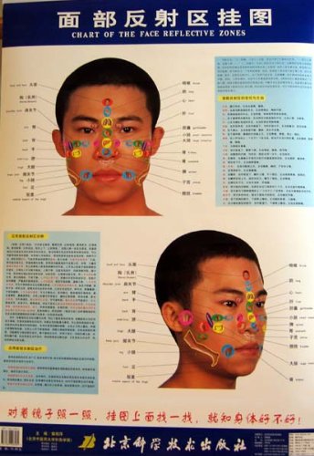 Chart of the Face Reflective Zones : Xie, Jiping: Amazon.es: Libros