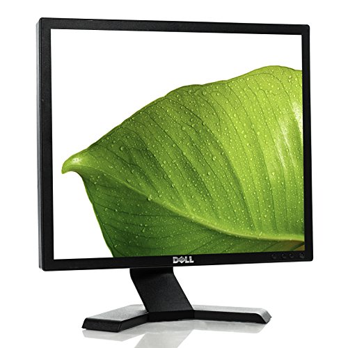 Dell E190S 19" Inch Flat Panel Screen LCD Monitor (469-0051)