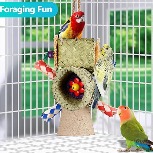 Snapklik.com : Bird Toys,Bird Foraging Bark Sola Stick Natures Bento ...