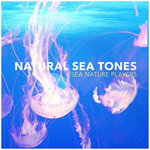 Amazon.com: Natural Sea Tones : Sea Nature Players: Digital Music