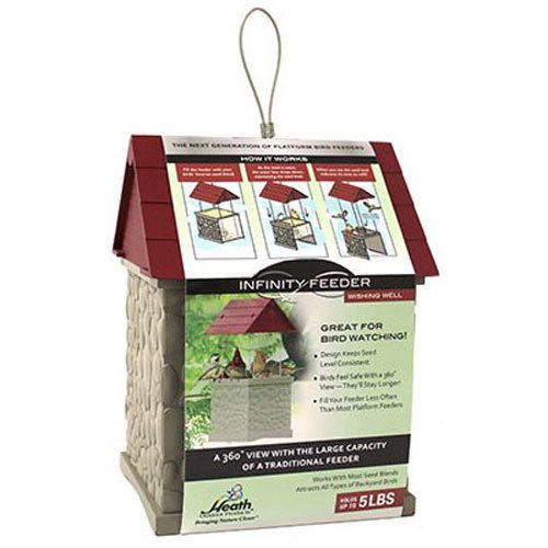 Best Carolina Wren Bird Feeders for Your Garden - Hummingbirds Plus