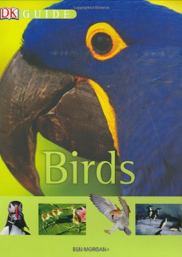 DK Guide: Birds: Morgan, Ben: 9780756617905: Amazon.com: Books