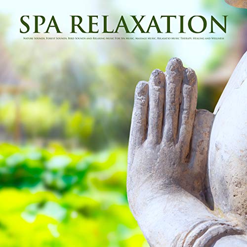 Amazon.com: Spa Relaxation: Nature Sounds, Forest Sounds, Bird Sounds ...