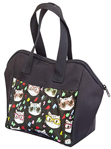 10 Must-Have Products for Your Cat's Abs: A Comprehensive Guide - Furry ...