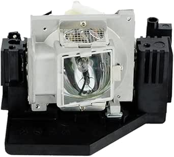 Amazon.com: AWO Original Projector Lamp Bulb BL-FU280A BL-FP280A RLC ...