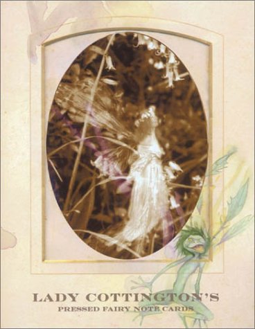 Lady Cottington's Pressed Fairy Album: Amazon.co.uk: Froud, Brian ...
