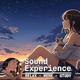 【発売日：2025年10月15日】・製造元:Sound Experience Records