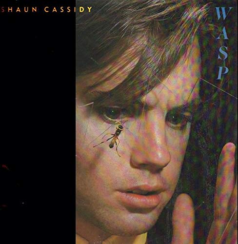 Amazon.com: Wasp: CDs & Vinyl