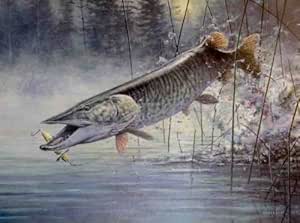 Amazon.com: Scott Zoellick - Moonlight Muskie: Posters & Prints