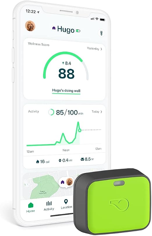 Amazon.com: Whistle GO Explore GPS + Health + Fitness Dog Tracker Plus ...