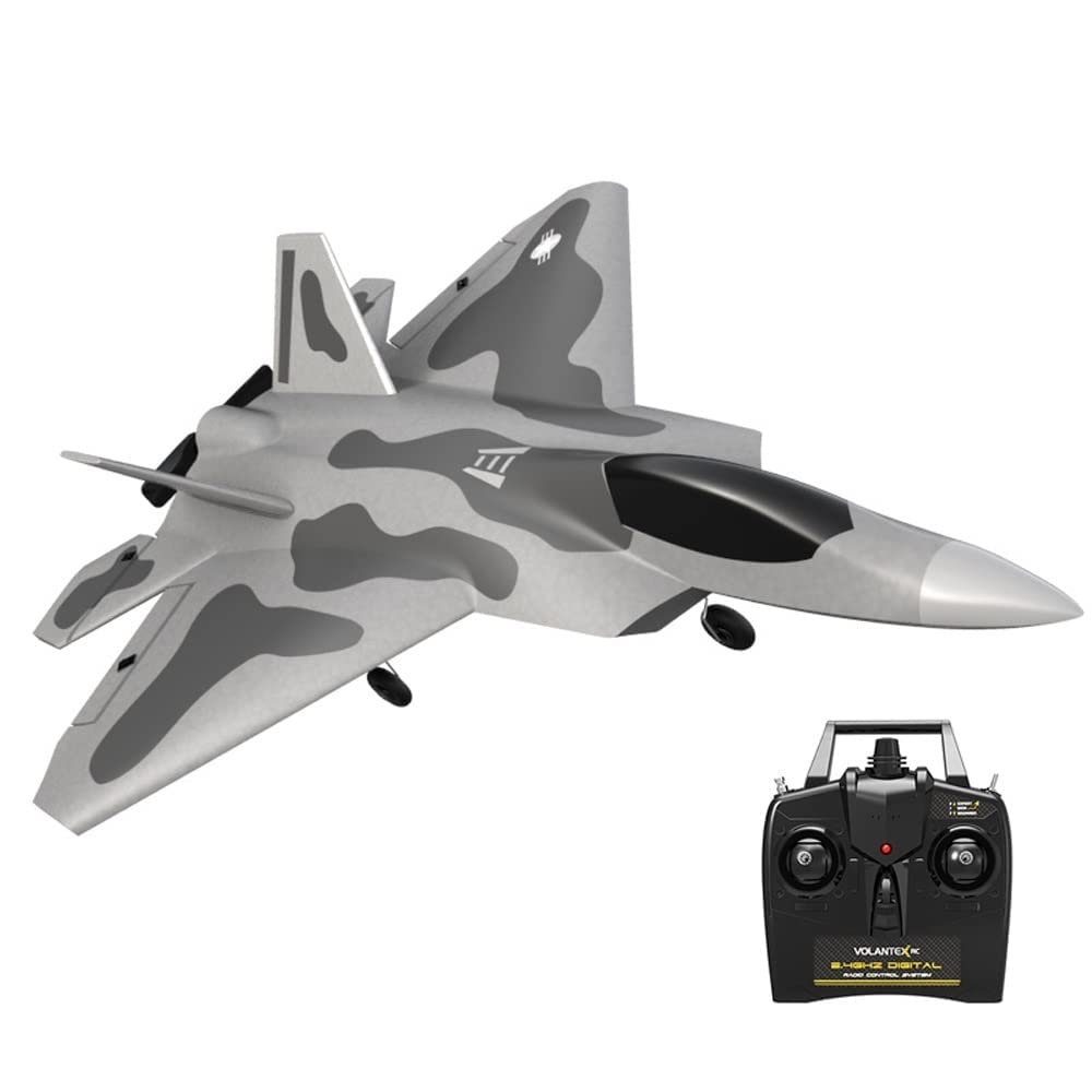 Mini F22 Raptor Rc Airplane Jet Trainer Warbird Epp 260mm | Desertcart ...