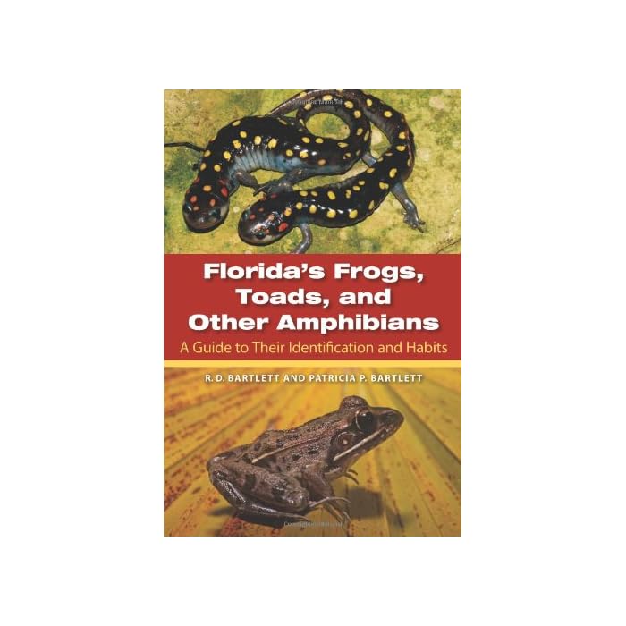 Buy Florida's Frogs, Toads, and Other Amphibians: A Guide to Their ...