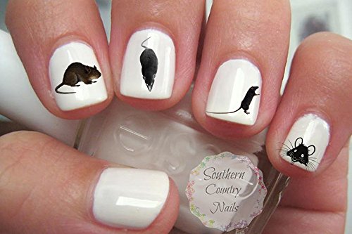 Amazon.com: Rats Nail Art Decals Set 2 : Beauty & Personal Care