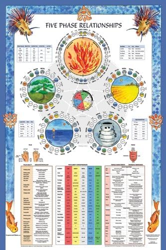 Amazon.com: Five Phase Element Chart : Industrial & Scientific