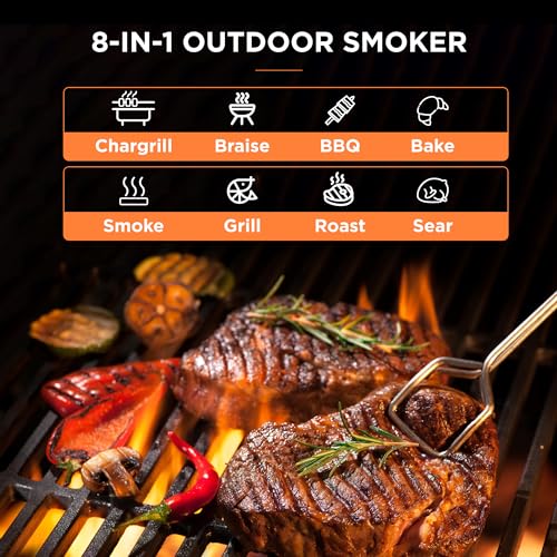 ASMOKE Portable Pellet Smoker Grill - AS350 256 sq. Pellet Smoker Grill ...