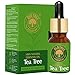 Buy Old Tree Pure & Natural Tea Tree Essential Oil (15ml) - for Skin ...