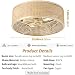 Amazon.com: hummingbird Boho Caged Ceiling Fan with Light, 20'' Rattan ...