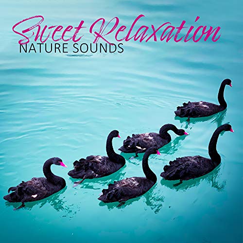 Play Sweet Relaxation Nature Sounds: 2019 Piano Music with Nature ...