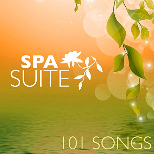Amazon.com: Spa Suite 101 - The Very Best of Relaxation & Meditation ...