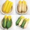 Amazon.com: 6pcs Artificial Corn, Lifelike Corn Fake Simulation ...