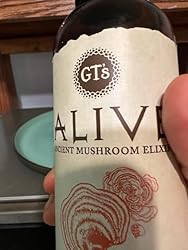 Amazon.com : GT's Living Foods, Alive Elixir Root Beer, 16 Fl Oz ...