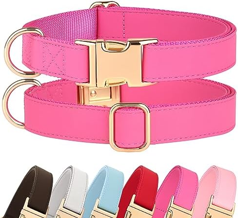 Amazon.com : PET ARTIST Charming Nylon Dog Collar with Leather Soft ...