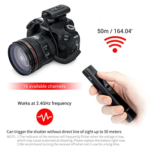 Canon Wireless Shutter Release: Enhance Your Photography ...