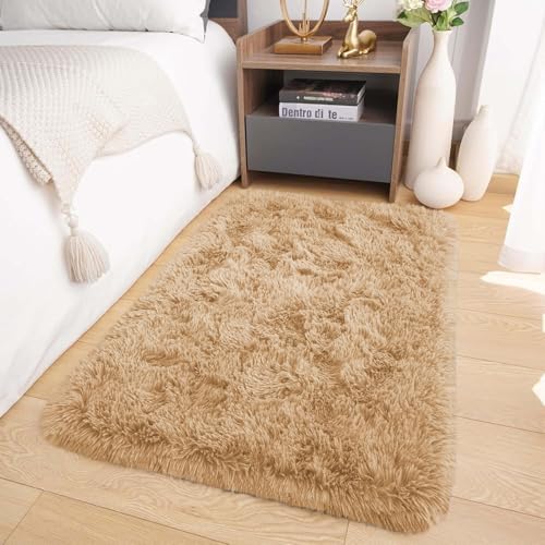 Amazon.com: MOONLIGHT20015 Small Area Rugs for Living Room – Soft ...