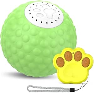 Smart Toy Ball Remote Control Operated Ball with Singing Bird Music for ...