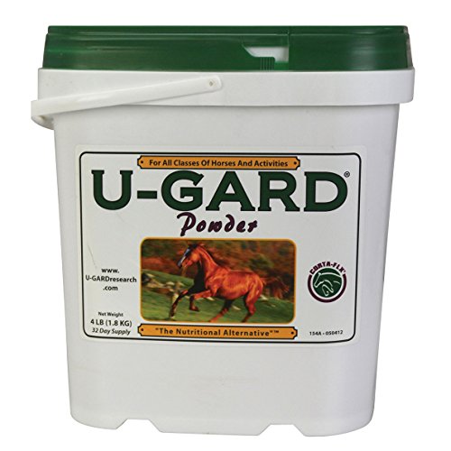 Protect Your Equine Companion with These Top 10 u Guard for Horses ...