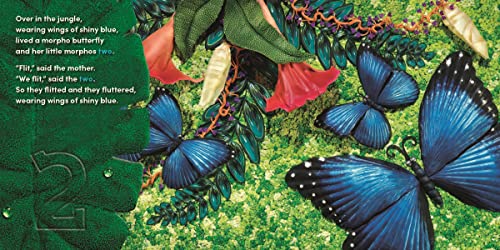 Snapklik.com : Over In The Jungle: A Rain Forest Baby Animal Counting Book