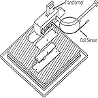 Amazon.com: colema board