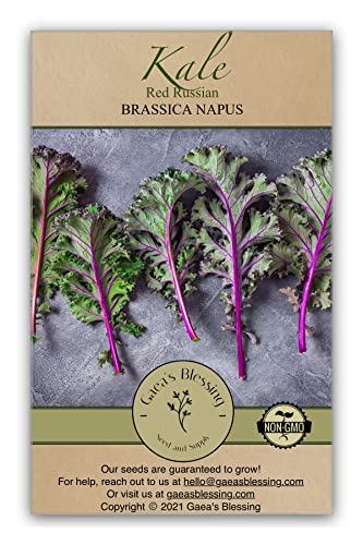 Redbor Kale - How to grow & care