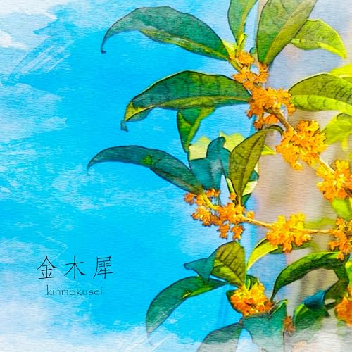 Amazon MusicでYuiryの金木犀を再生する