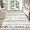 Amazon.com: Area Rugs 9x12 Living Room: Large Machine Washable Rug with ...