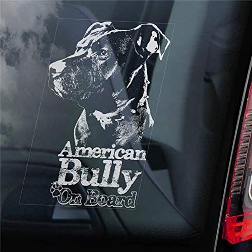 Bully Fahrrad – Die 15 besten Produkte im Vergleich - HundeINFOPortal