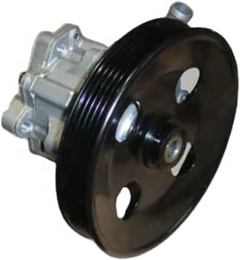 パワーステアリングポンプアセンブリ CHERY TIGGO T11 OEM:T11-3407010 と互換性あり Chery T11 T11-3401010BB T11-3401010 ...