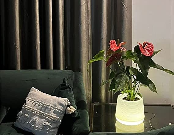 Homefrills LED Flower Pot PEAR with Warm White Light (Plastic Garden ...